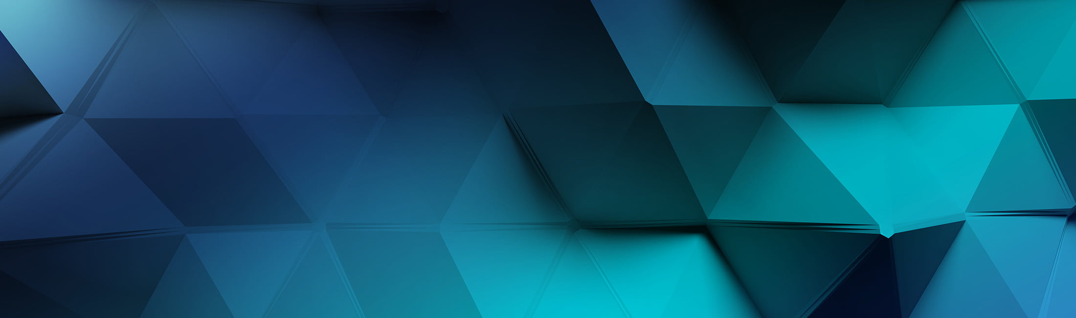 2024 NACD Public Company Board Practices and Oversight Survey